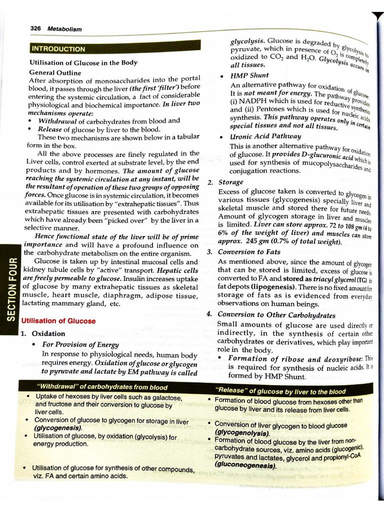 BCM 217 Material (Carbohydrate Metabolism in General) | PDF