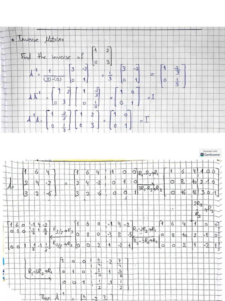 Inverse Matrix Assignment | PDF