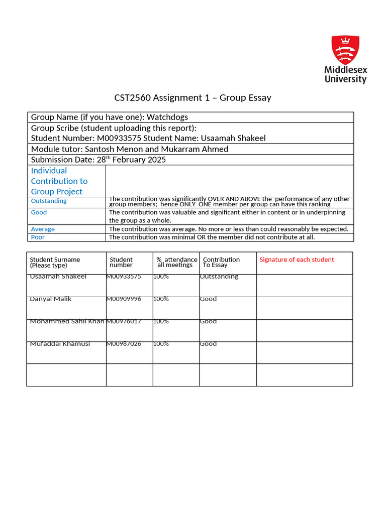 CST2560 Group Essay Contribution Report | PDF