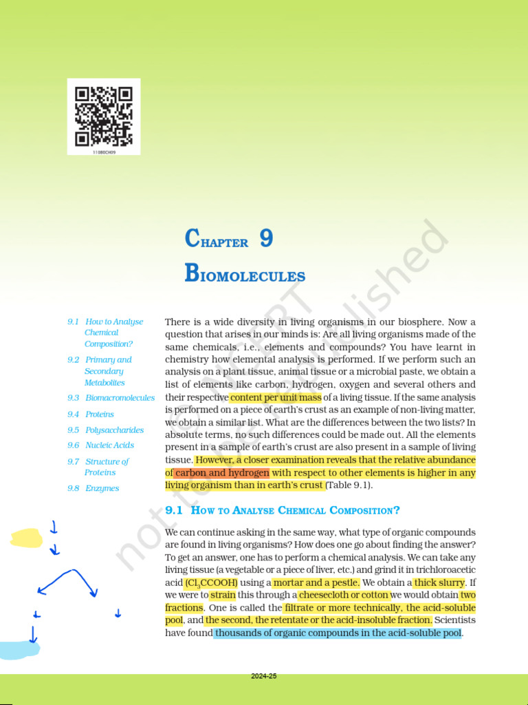 BIOMOLECULES Highlighted Class 11 | PDF | Enzyme | Cofactor (Biochemistry)