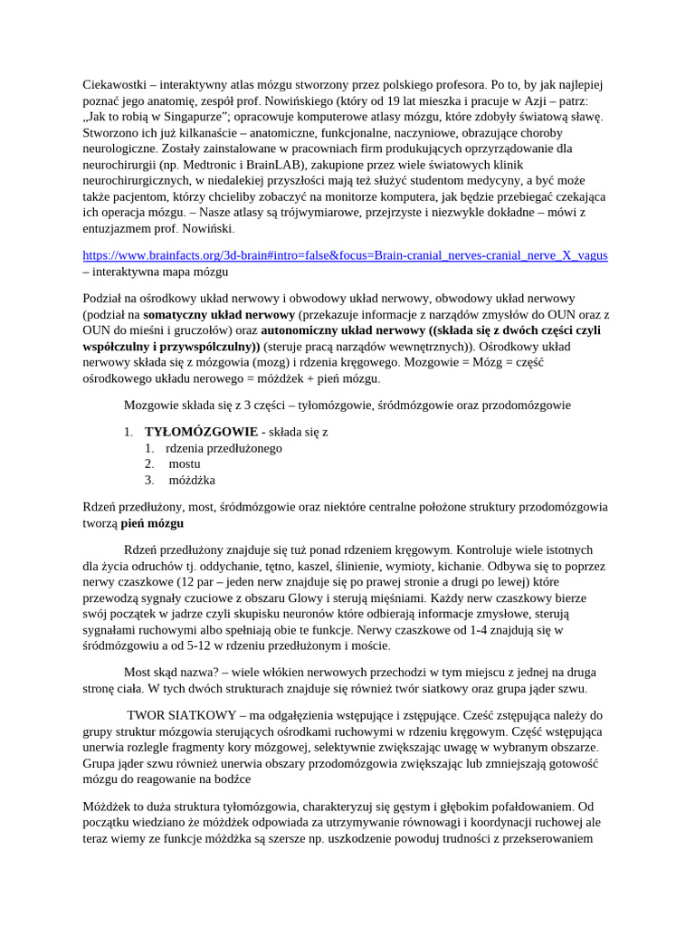 Anatomia Mózgu DW | PDF