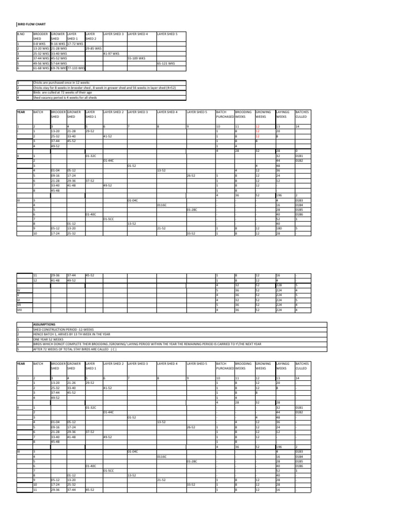 Layer Farm Projecr Report | PDF | Expense | Business Economics