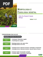 Raízes Adventícias: Exemplos e Funções | PDF | Raiz | Morfologia vegetal