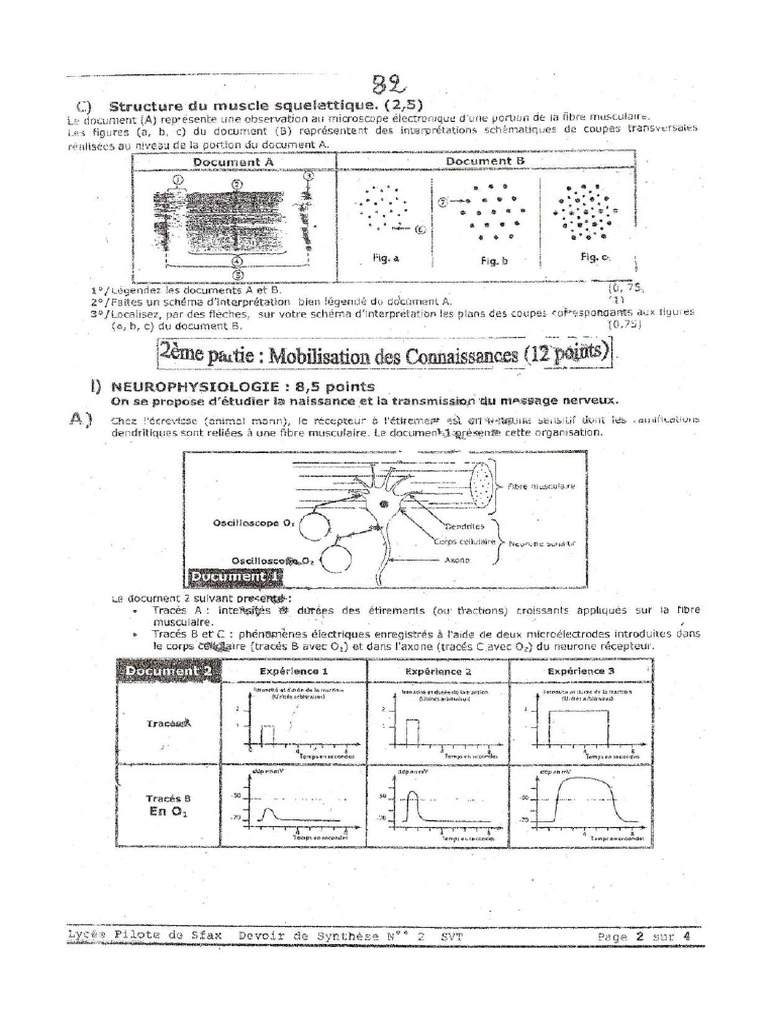 Ds2 Bac Science | PDF
