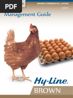 Tetra Chicken Breeds and Egg Production | PDF | Poultry Farming | Egg ...