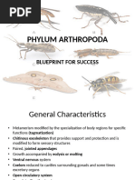 Tagmosis | PDF | Insects | Arthropodology