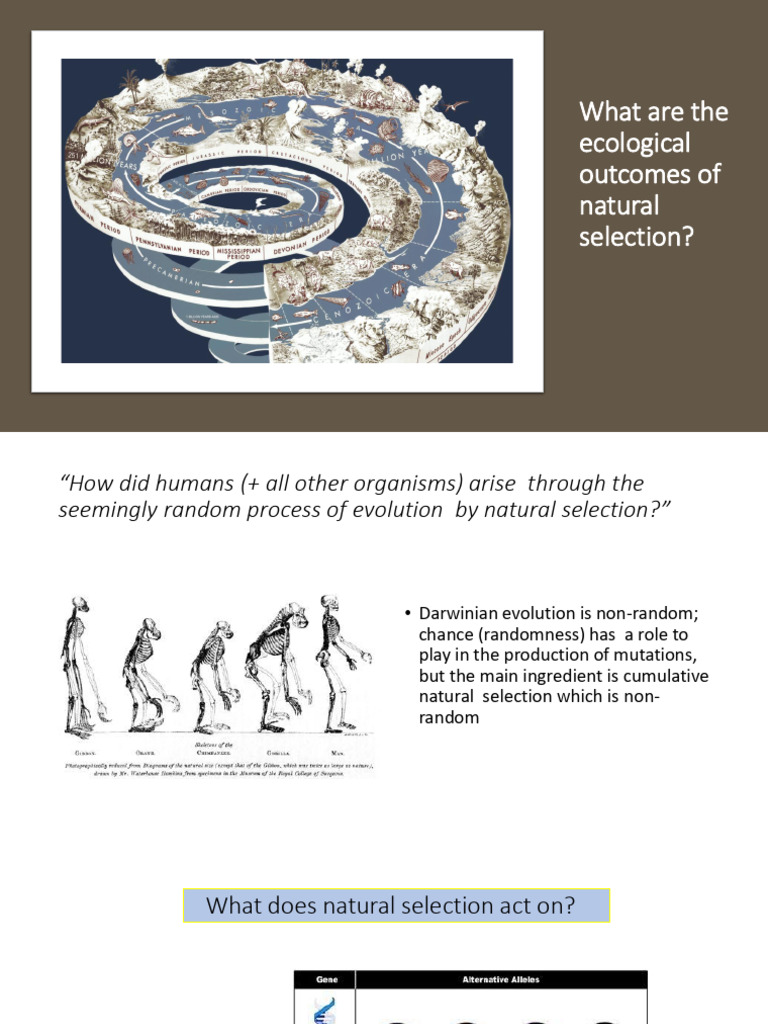 Ecological Outcomes of Natural Selection | PDF | Natural Selection | Evolution