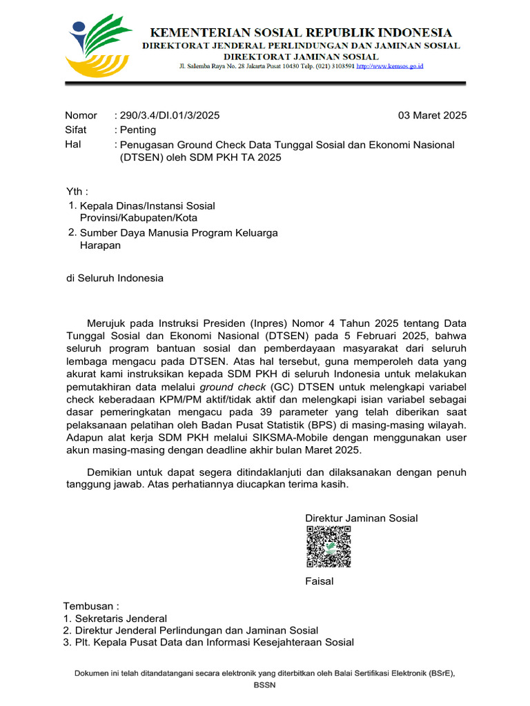 Penugasan Ground Check DTSEN 2025 | PDF