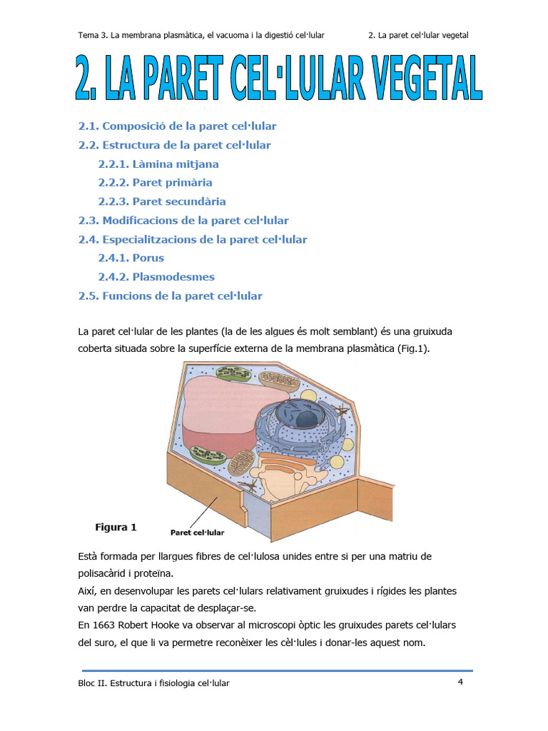02 La Paret Cel Lular Vegetal Apunts | PDF
