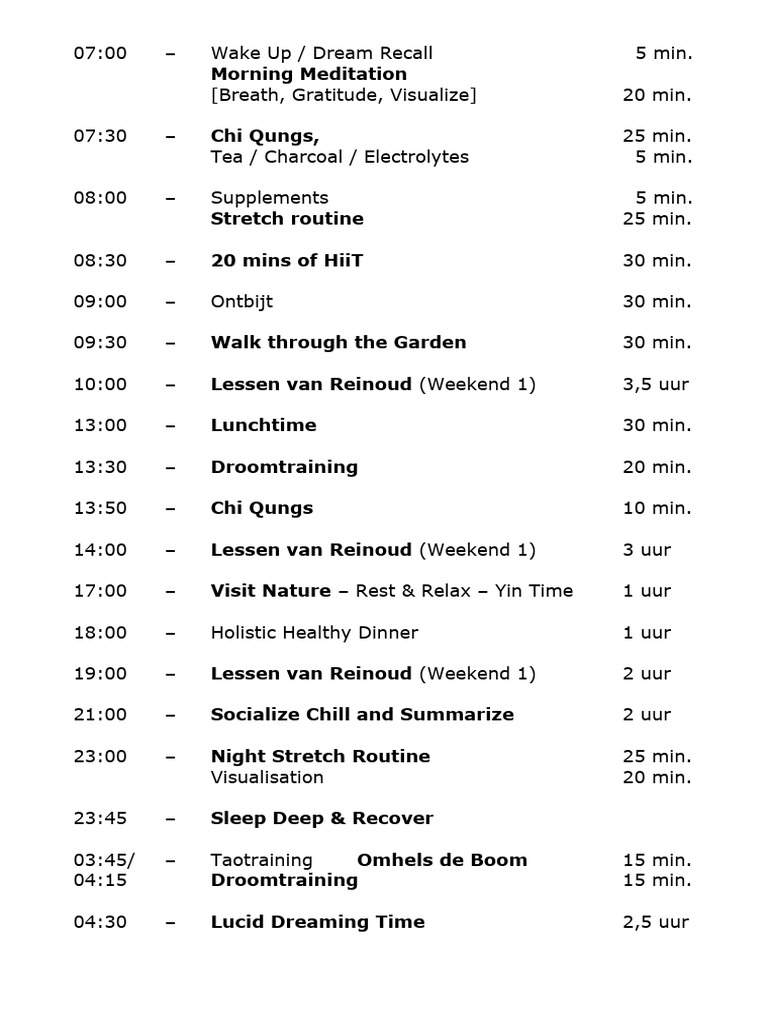 Daily Holistic Wellness Schedule | PDF