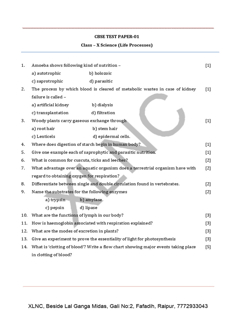 CBSE Class X Science Life Processes Test Papers | PDF | Kidney | Blood