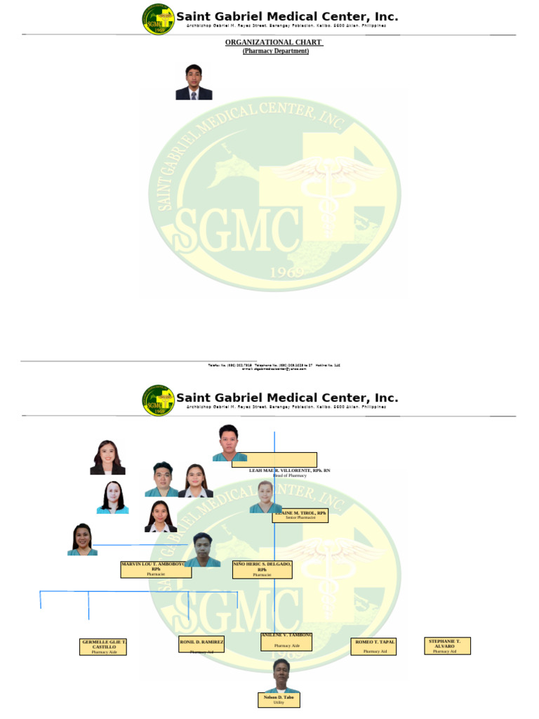 Org Chart Draft 2024 | PDF