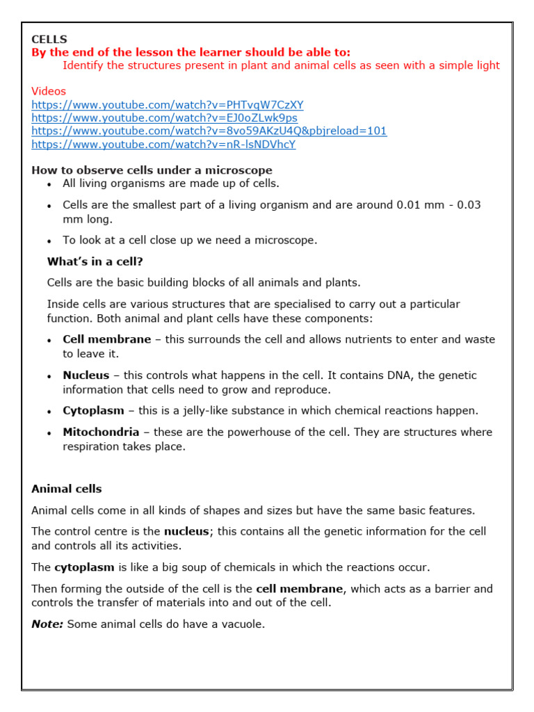 Year 7 Bio Week 4-5 Lesson Notes | PDF | Cell (Biology) | Plants