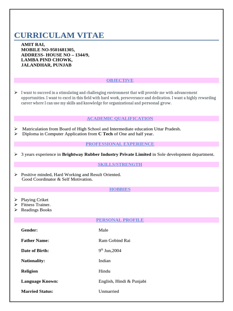 Amit Rai - Professional CV Summary | PDF