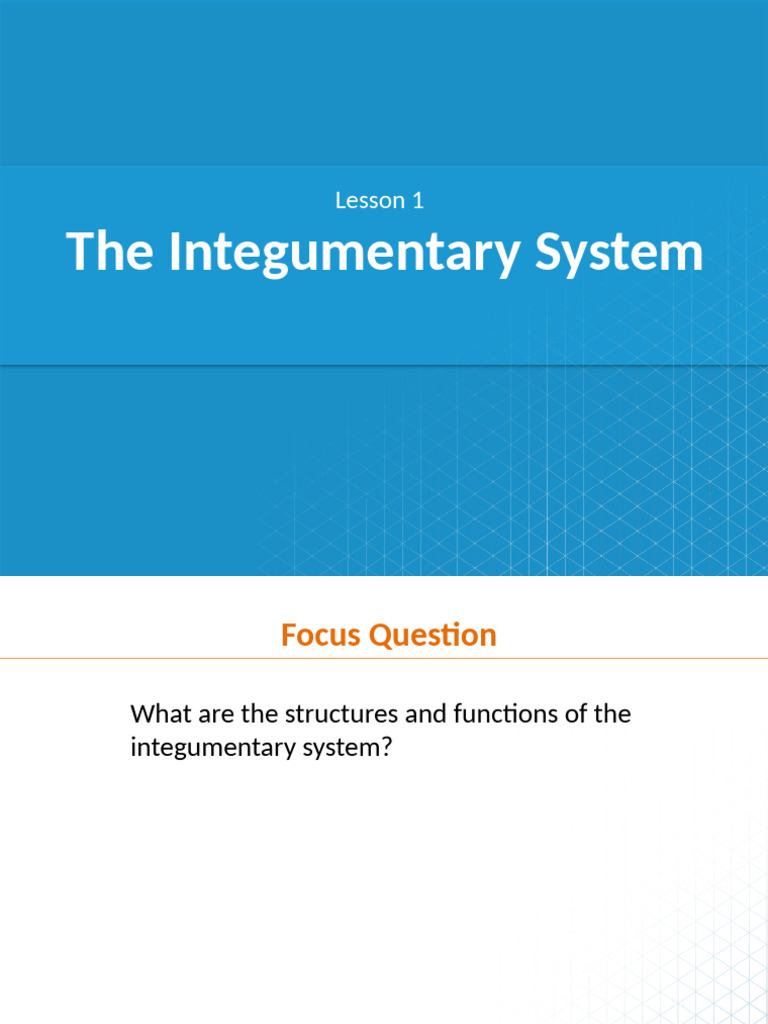 Lesson 1 The Integumentary System DM | PDF | Skin | Integumentary System
