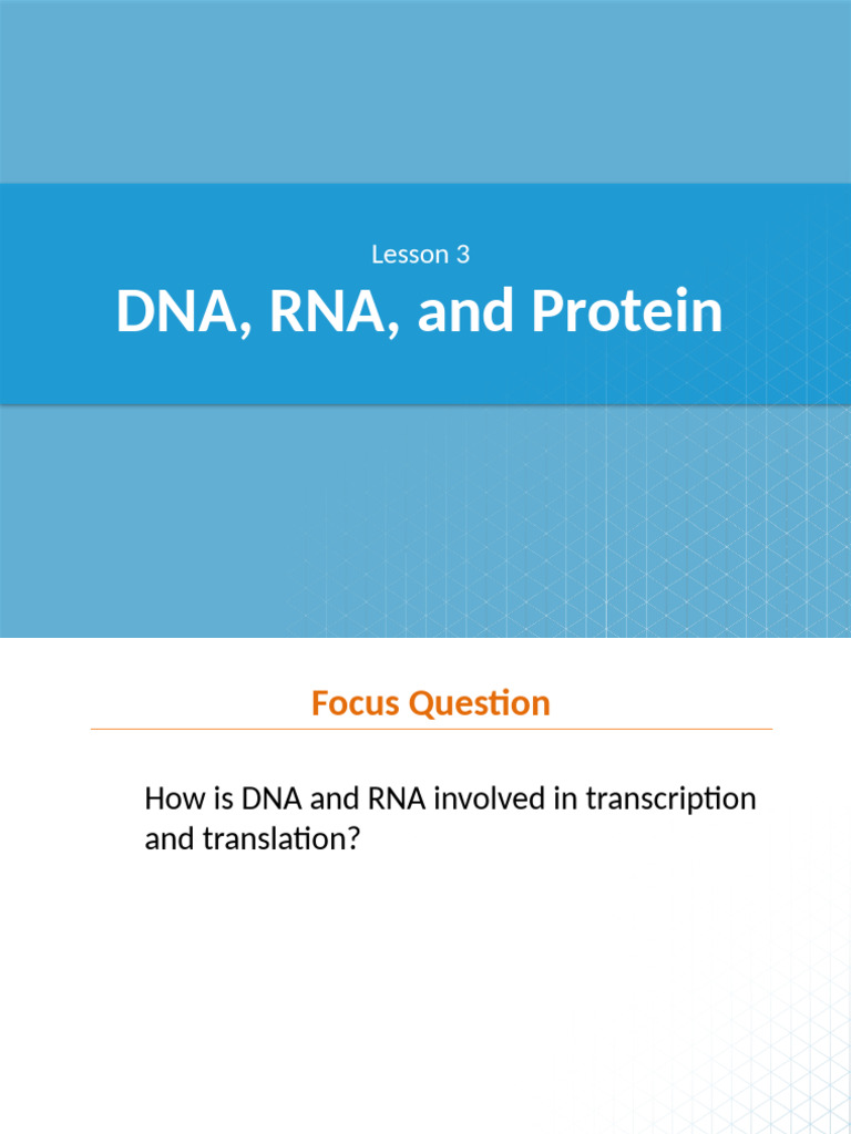 Lesson 3 DNA RNA Protein DM | PDF | Messenger Rna | Translation (Biology)