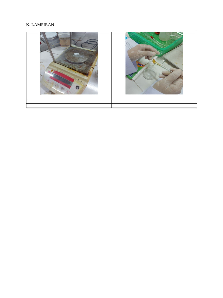 Lampiran | PDF