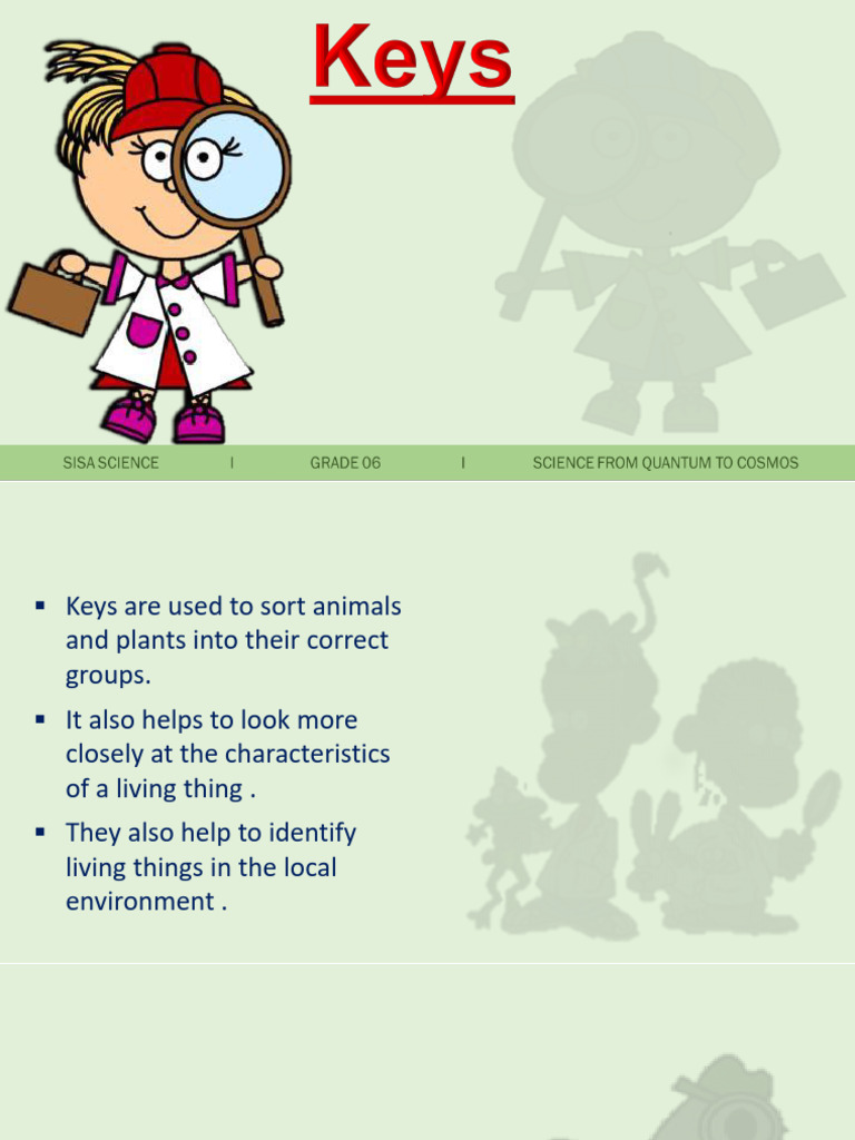 Lesson Note 3 Interdependence and Adaptations | PDF