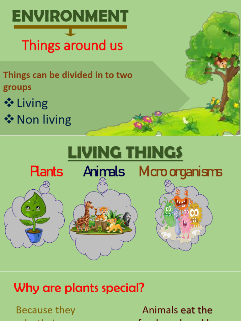 Lesson Note 1 Interdependence and Adaptations + 1 | PDF