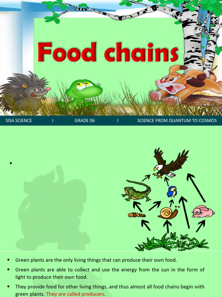 Lesson Note 5 Interdependence and Adaptations Food Chains and Food Webs ...