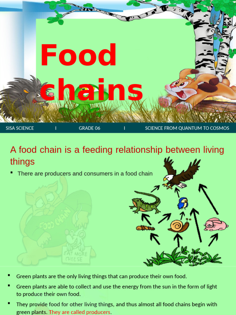 Lesson Note 5 Interdependence and Adaptations Food Chains and Food Webs ...
