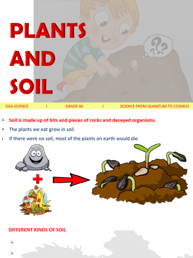 Lesson note 6 Interdependence and adaptations Plants and soil | PDF ...