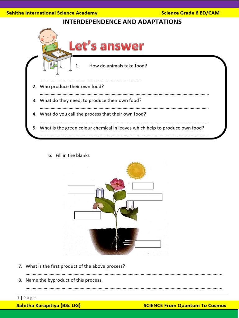 Let's Revise 1 Interdependence and Adaptations | PDF | Foods | Cuisine