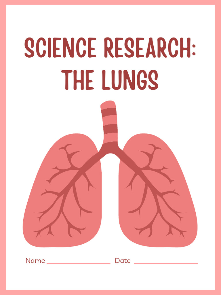 Human Lungs Science Research Project Graphic Organiser in Pink ...