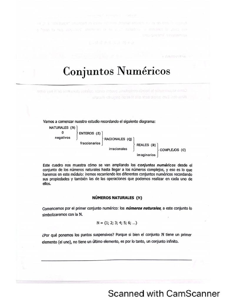 Conjuntos Numericos. Retomamos | PDF