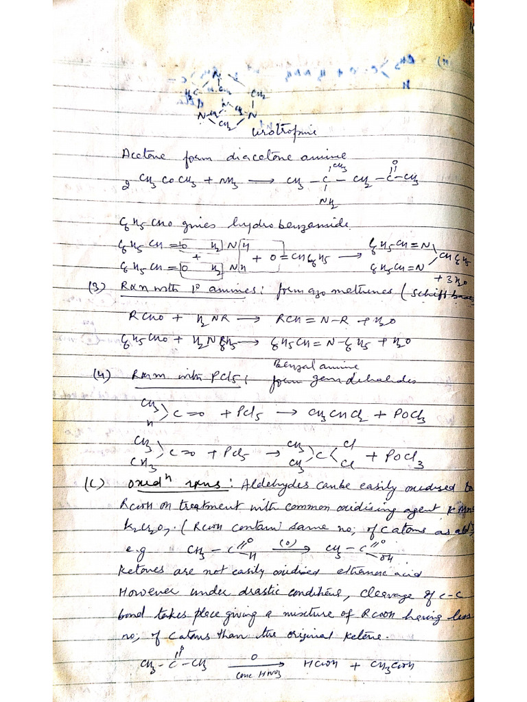 Today's Class Work | PDF