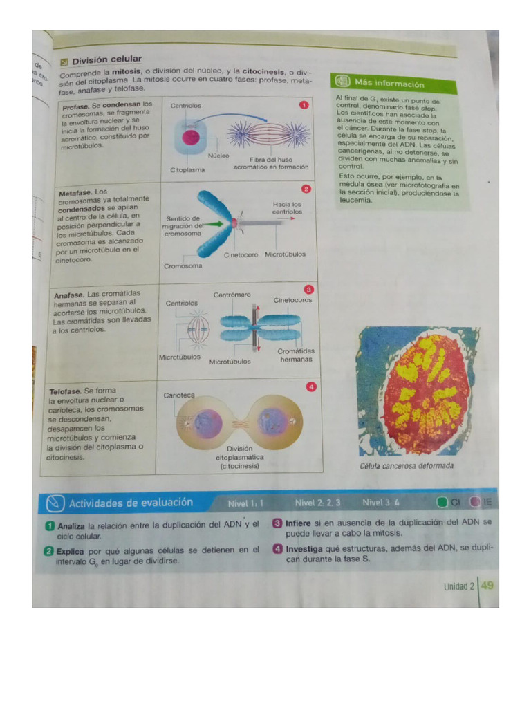 Doc7 Libro Verde 4to | PDF