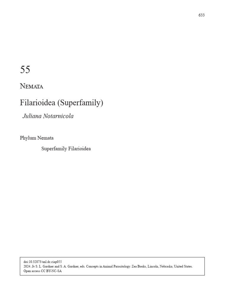 Filarioidea Nematodes: Biology & Morphology | PDF