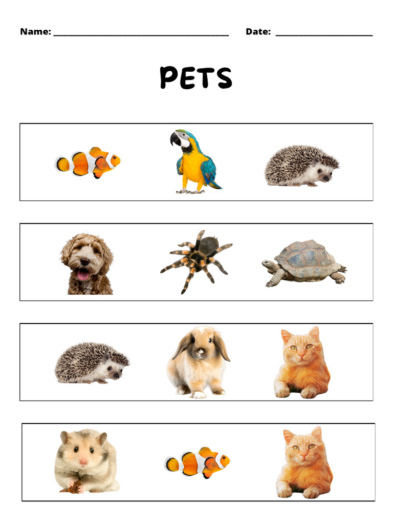 PETS | PDF
