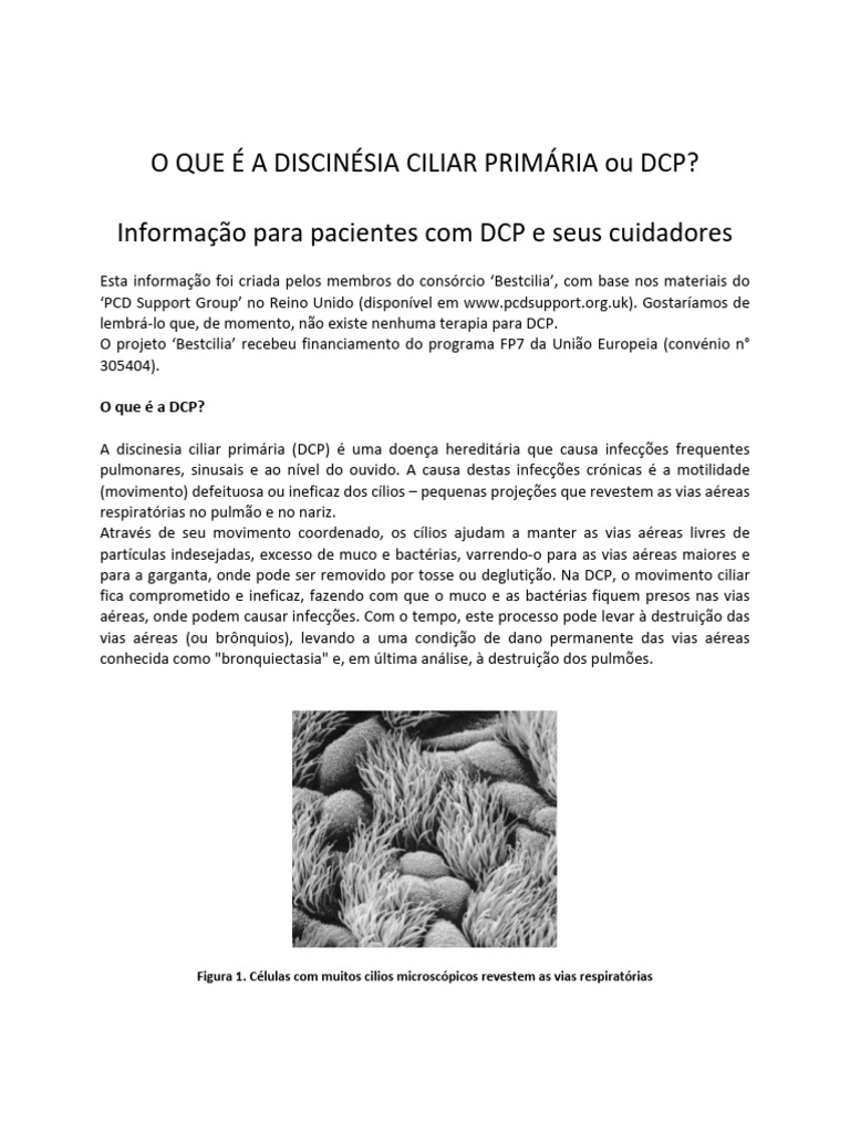 O Que É A Discinésia Ciliar Primária | PDF | Infertilidade | Gravidez