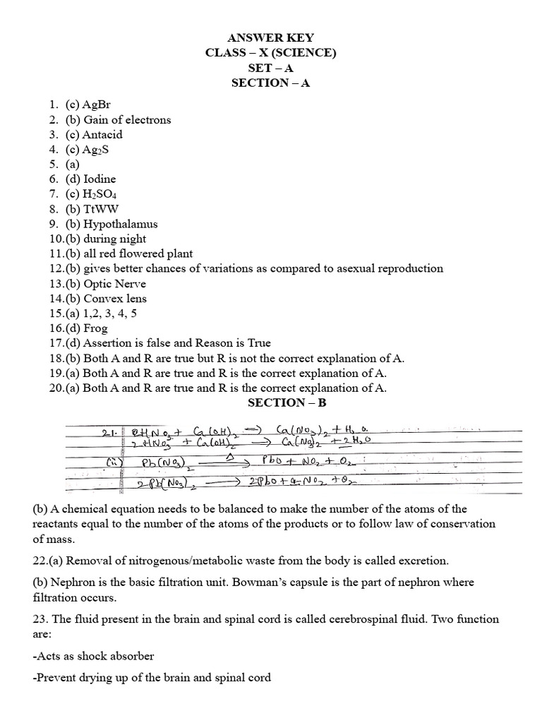 Class X Science Answer Key Set A | PDF | Salt (Chemistry) | Solubility