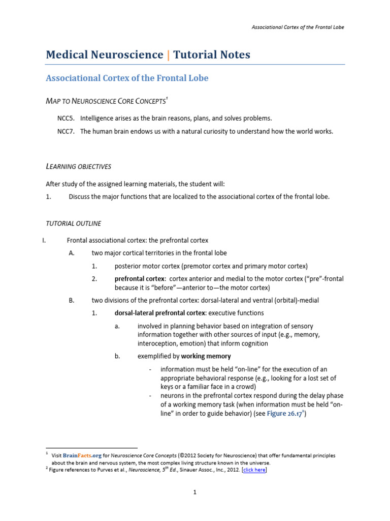 06 - 10-11 - Associational Cortex of The Frontal Lobe | PDF ...