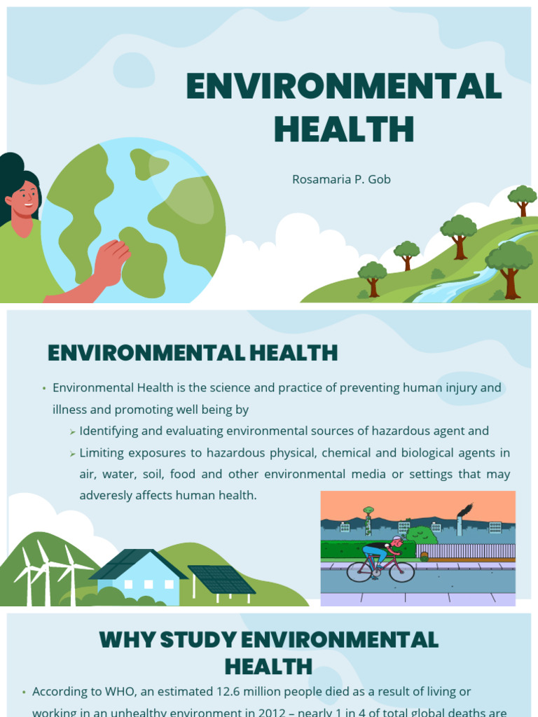 Environmental Health | PDF | Air Pollution | Particulates