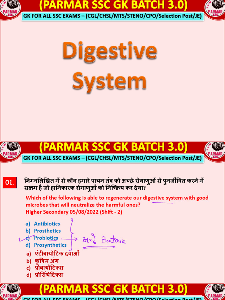 BIO Lecture 9 Digestive and Respiratory System MCQS | PDF