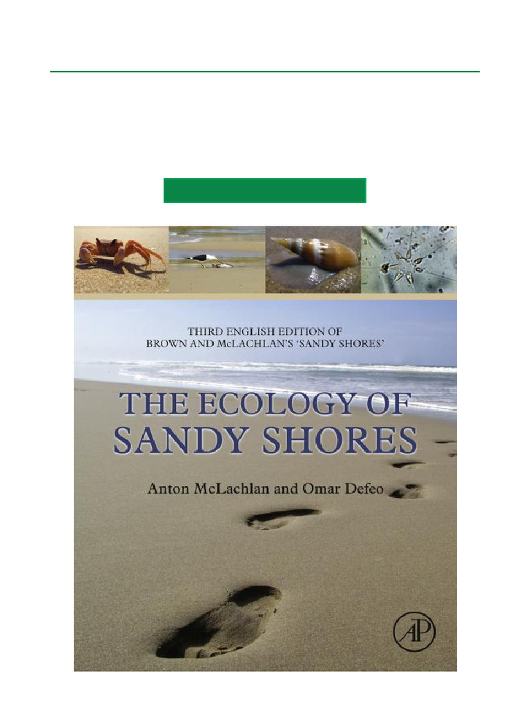 Ecology of Sandy Shores: 3rd Edition | PDF