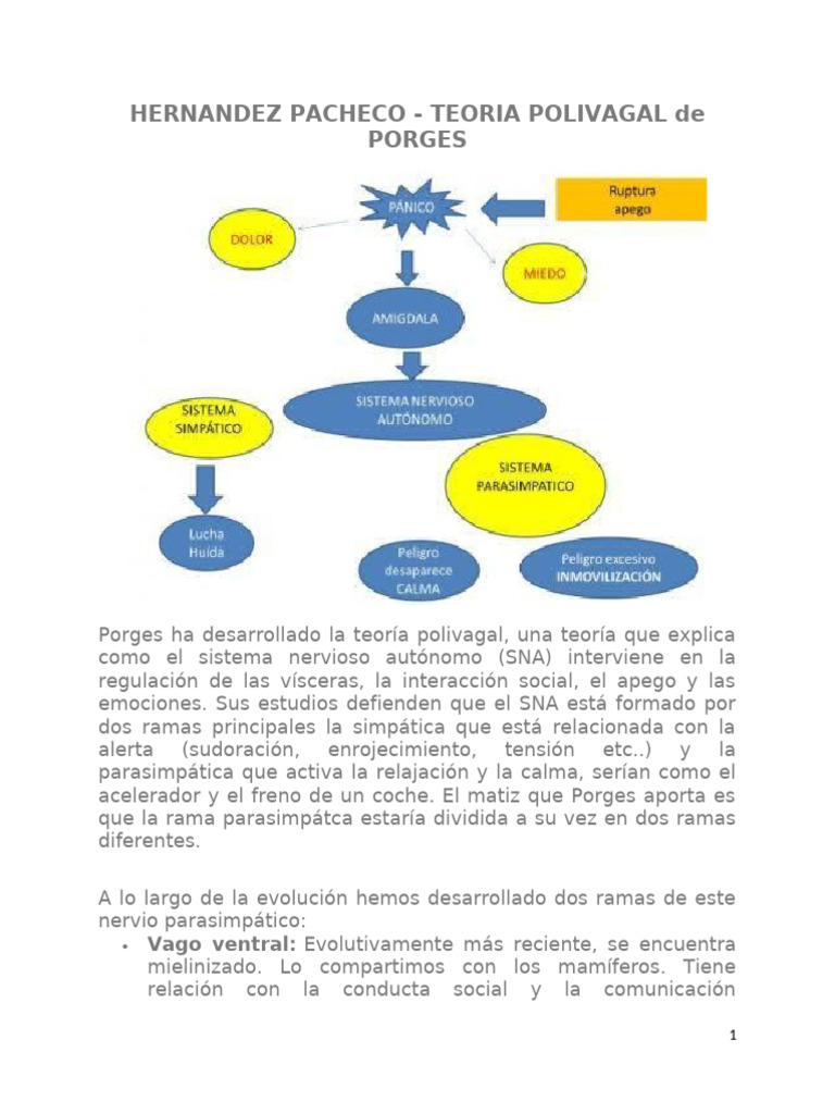 Teoría Polivagal de Porges | PDF | Trauma psicólogico | Disociación ...