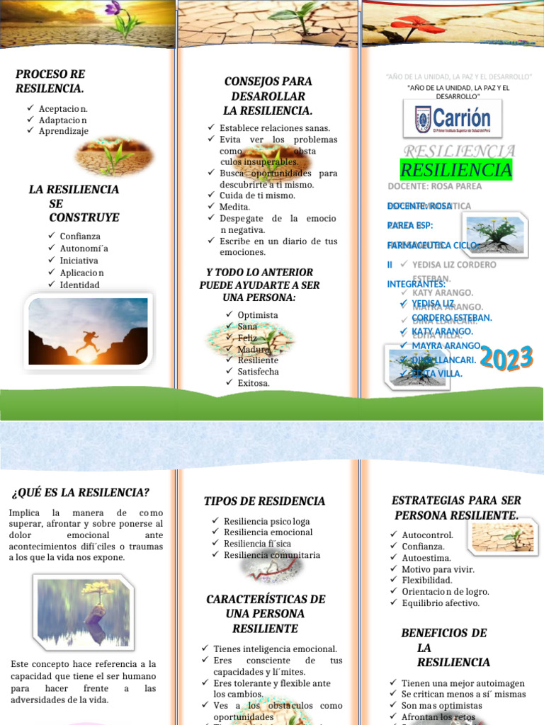 Modelo de Triptico | PDF | Resiliencia psicológica | Las emociones
