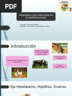 Eje - Hipotálamo - Hipófisis - Ovario - en - Vacas BIOLOGIA - GENETICA | PDF | Hormona ...