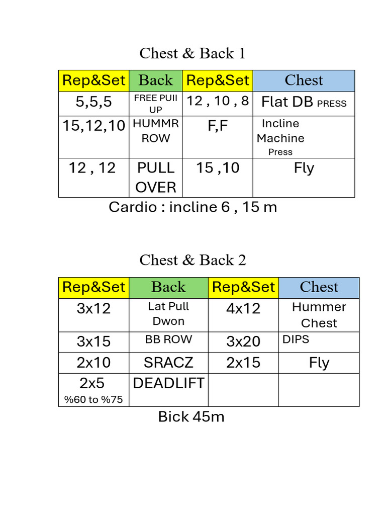 Chest and Back Workout Guide | PDF
