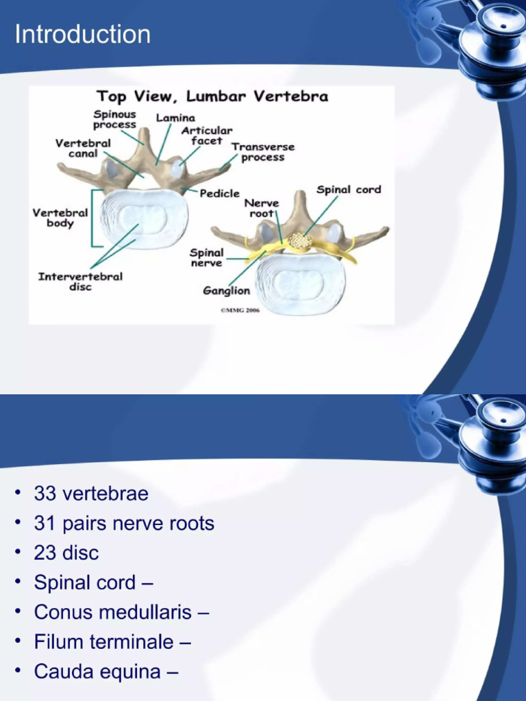 Spine Examp PT | PDF