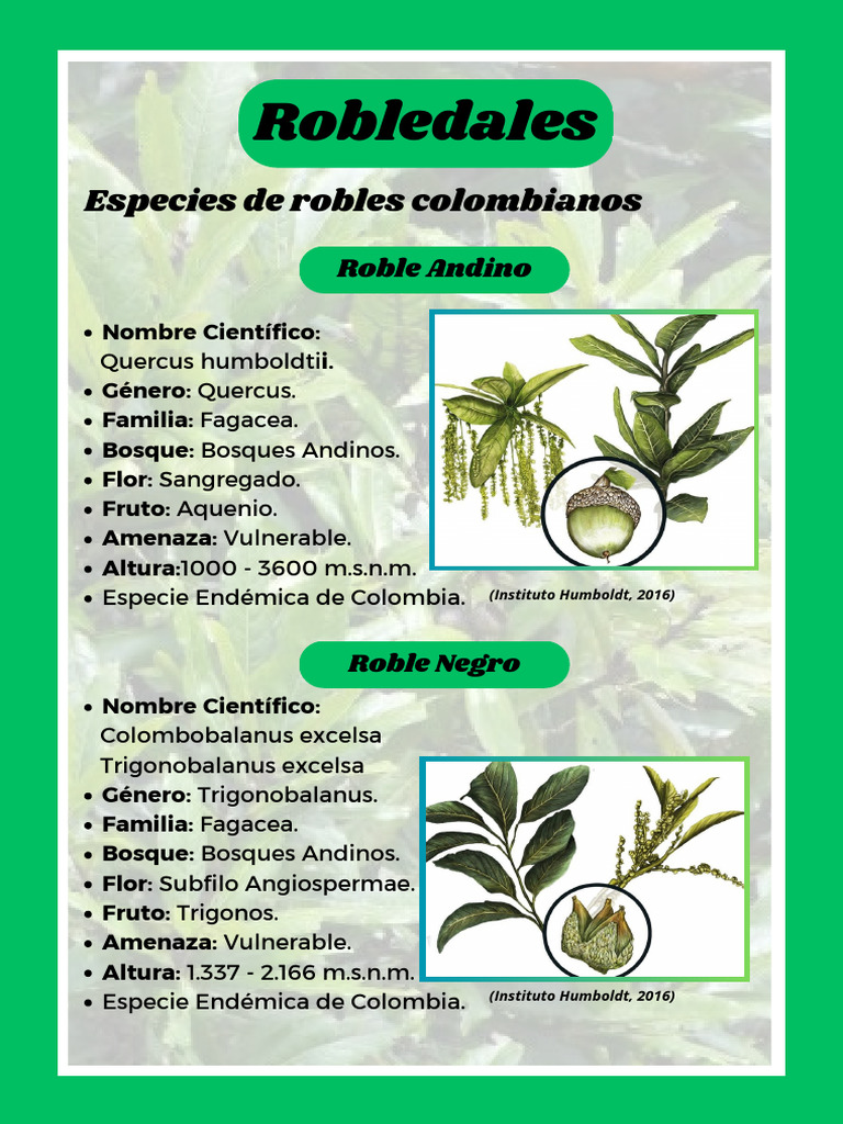 ROBLES | PDF | Organismos | Biología