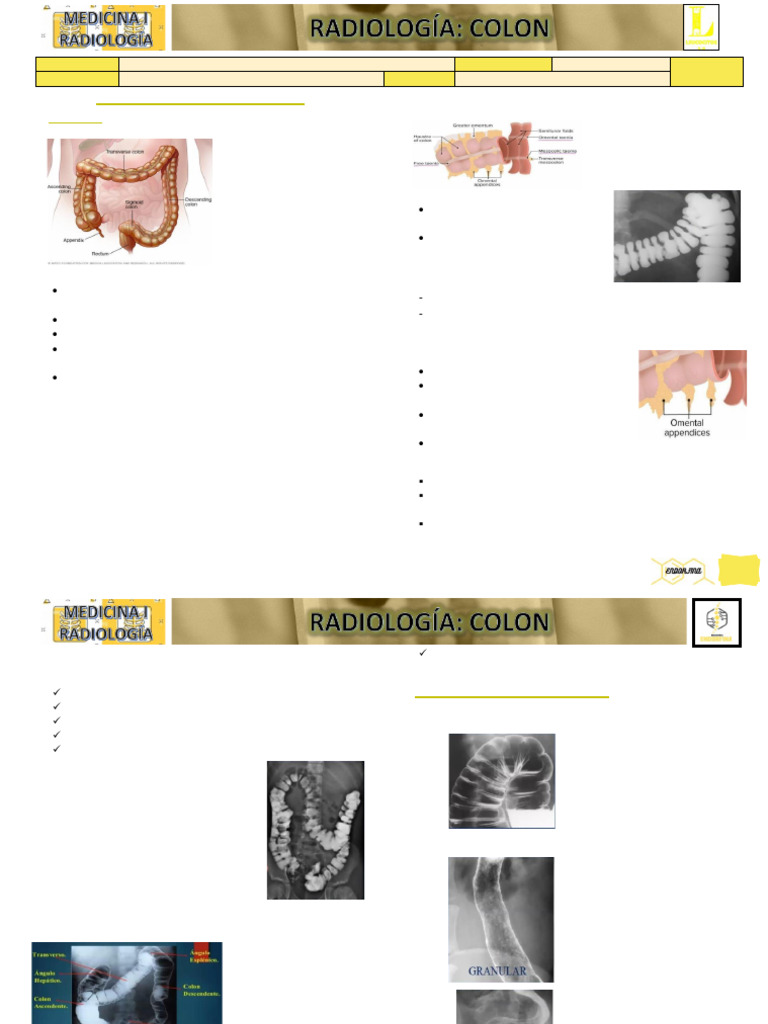 Imagenología del Colon: Anatomía y Patologías | PDF | Intestino grueso ...