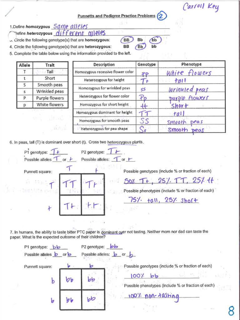 P&P Practice Problems | PDF