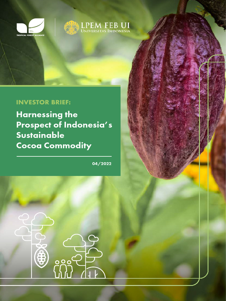 Investor Brief Cocoa Designed | PDF | Cocoa Bean