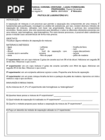 Bula do Herbicida Elevore 2024 | PDF | Ferimento | Nuvem