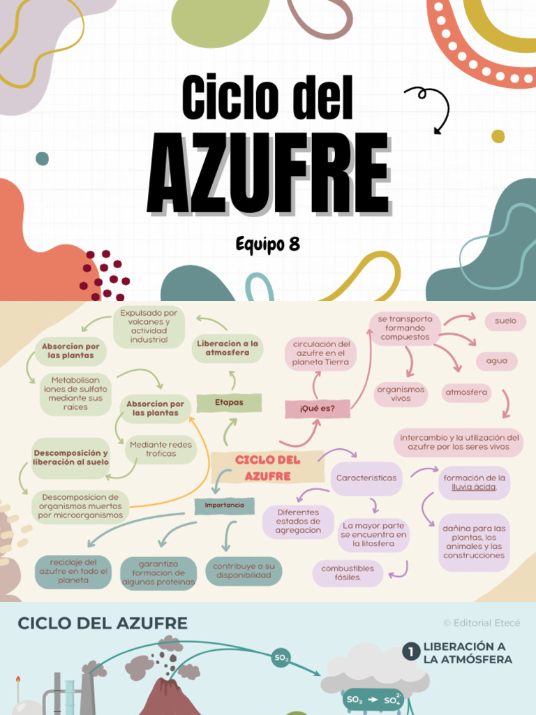 Ciclo Del Azufre | PDF | Azufre | Plantas